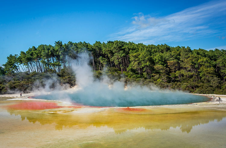 Discover the Geothermal Wonders of Rotorua & Lake Taupo
