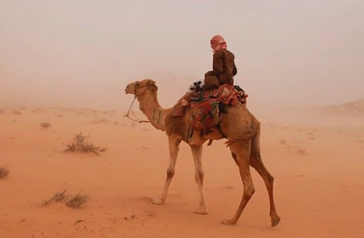 How to Prepare for Extreme Weather in Jordan