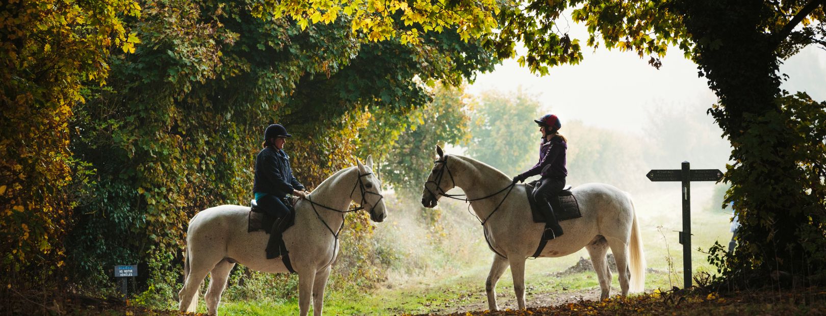 Travel Insurance when Horse Riding | Get an Instant Quote!