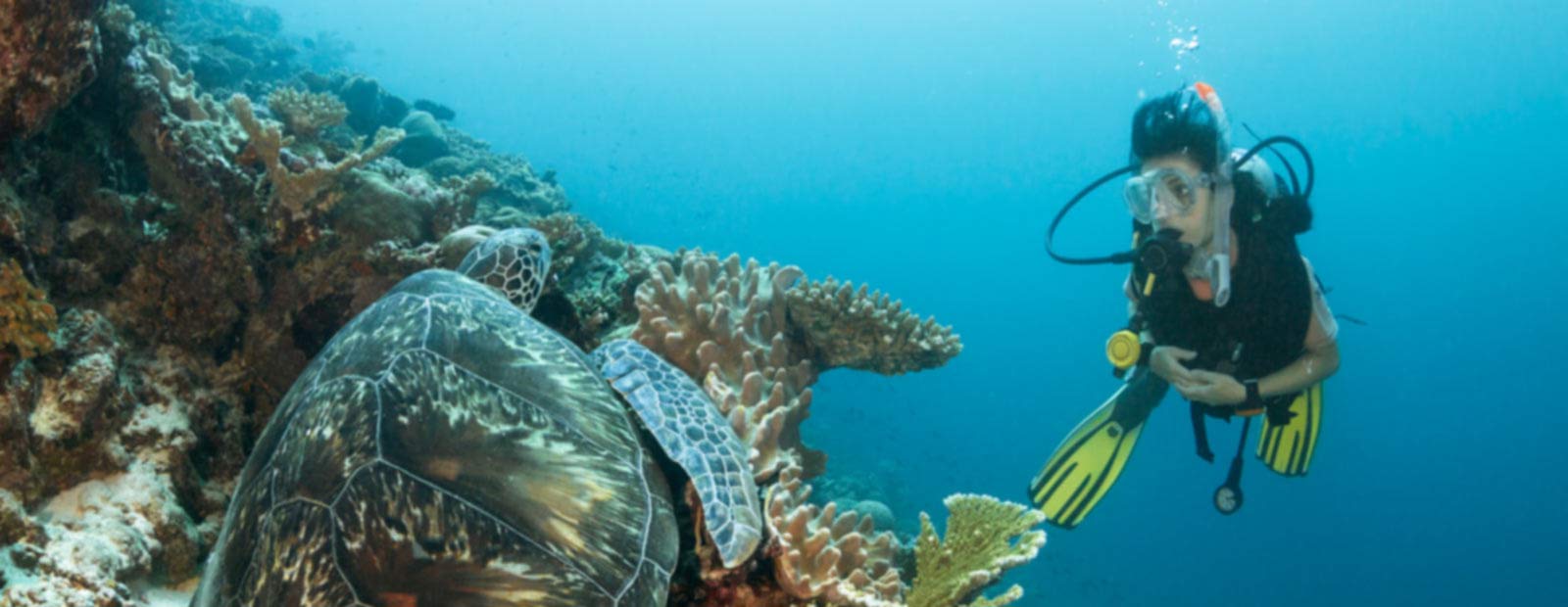 Scuba Diving Travel Insurance | Get an Instant Quote!