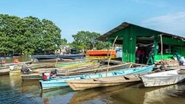 Top 8 Things to See & Do in Bogotá, Colombia