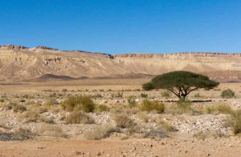 Explore Middle East - World Nomads