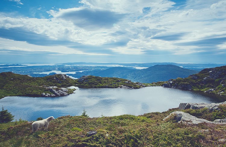 Travel Safety Norway - stay safe with World Nomads