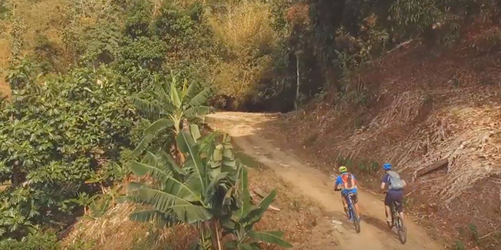 Trinidad & Tobago Discoveries: Mountain Biking Trails