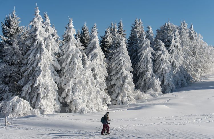 5 Great Ways to Experience Germany in Winter