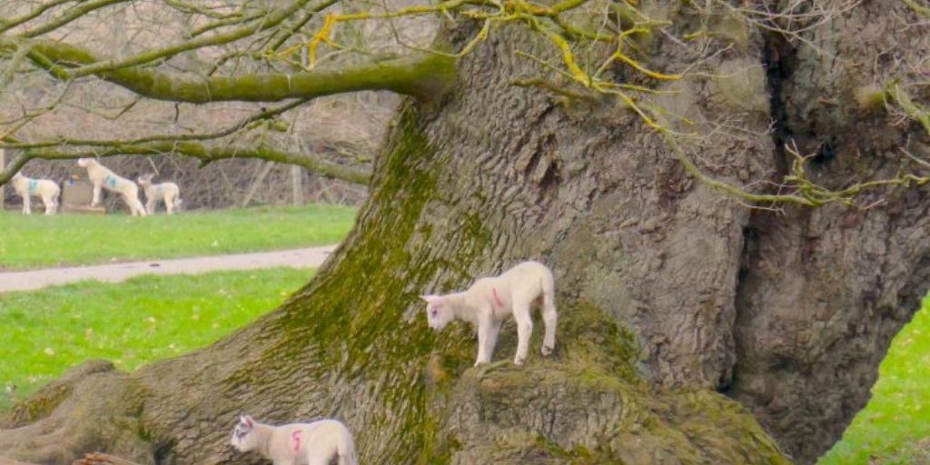 Five Great Hikes in the West Midlands of England