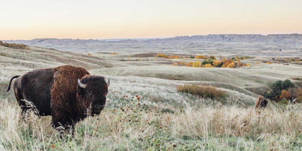 3 Memorable Road Trips Through South Dakota