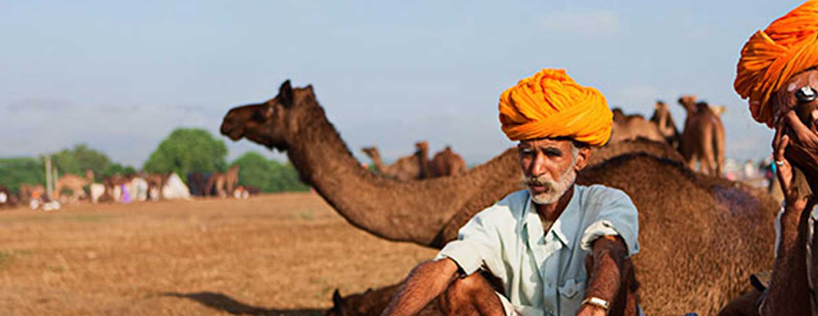 Travel Writers Wanted: India Insiders' Guide