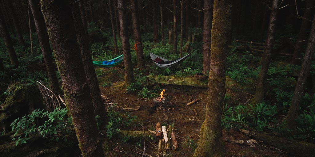 5 Unmissable Experiences on Vancouver Island