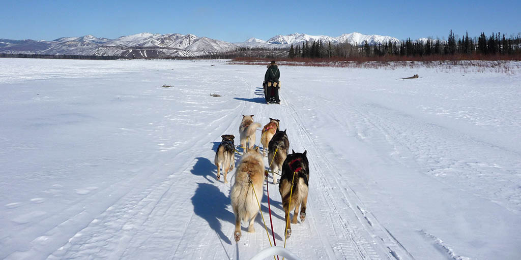 Learning to Drive a Dog Sled in Alaska | Travel Story