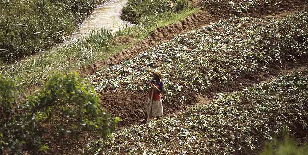 Numbers | Rwanda Travel Story